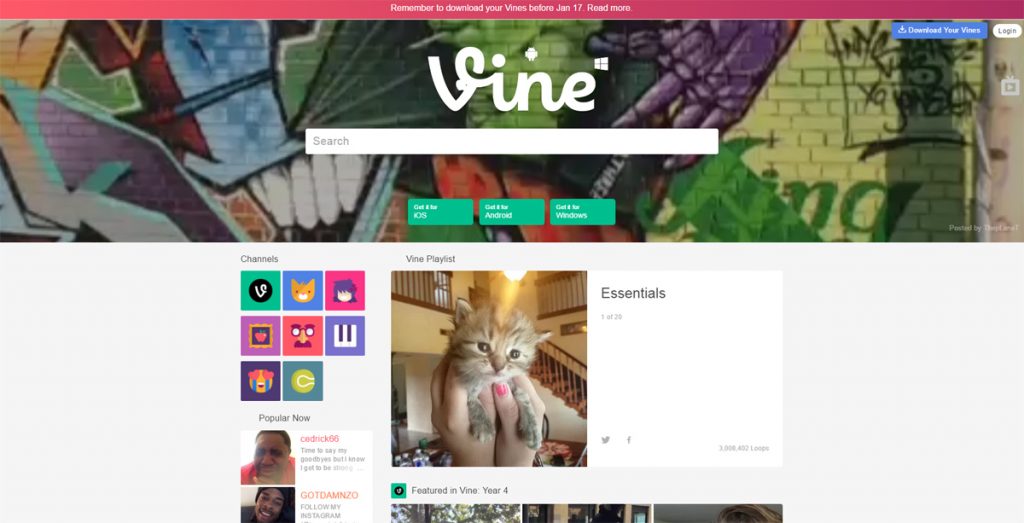 ปิดตำนาน Vine ไม่มีอีกแล้วโซเชียลมีเดียที่แชร์คลิป 6 วิสุดครีเอท